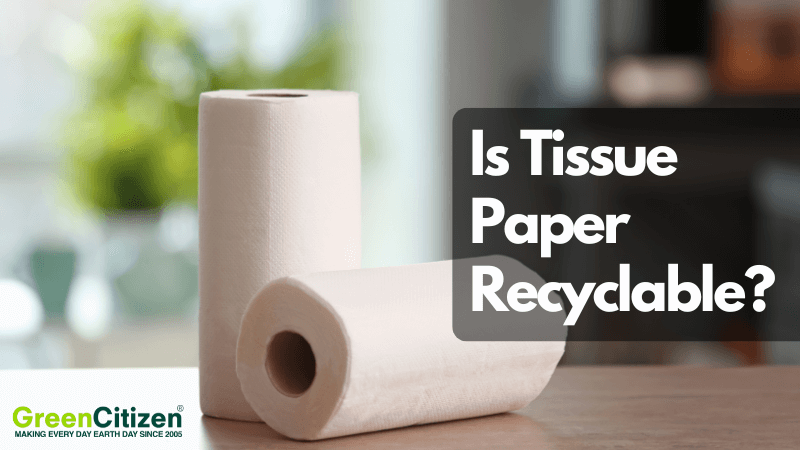 Is Tissue Paper Recyclable? Yes, But NO! - GreenCitizen