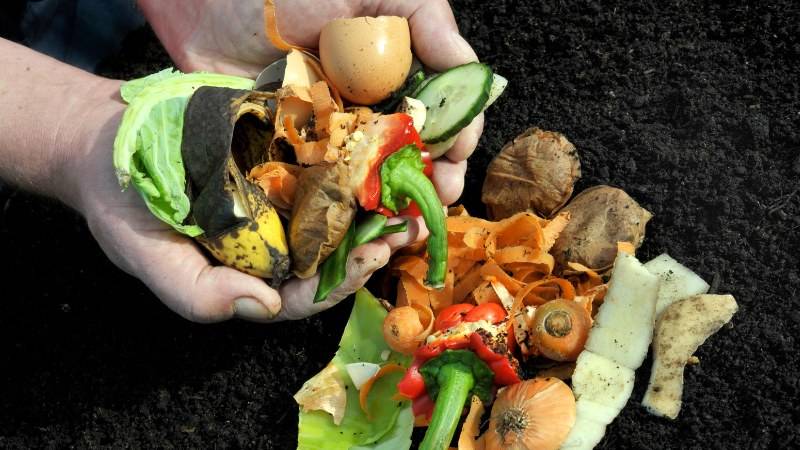 How to Supercharge Your Compost With a Compost Starter