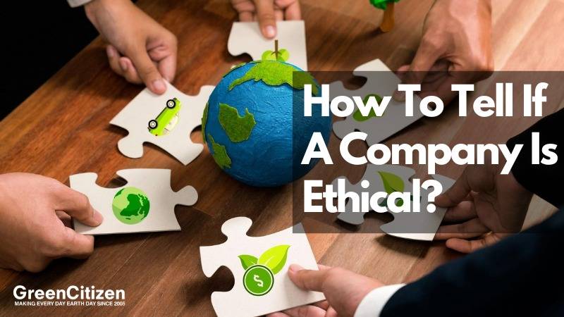 How to Tell if a Company Is Ethical? - GreenCitizen