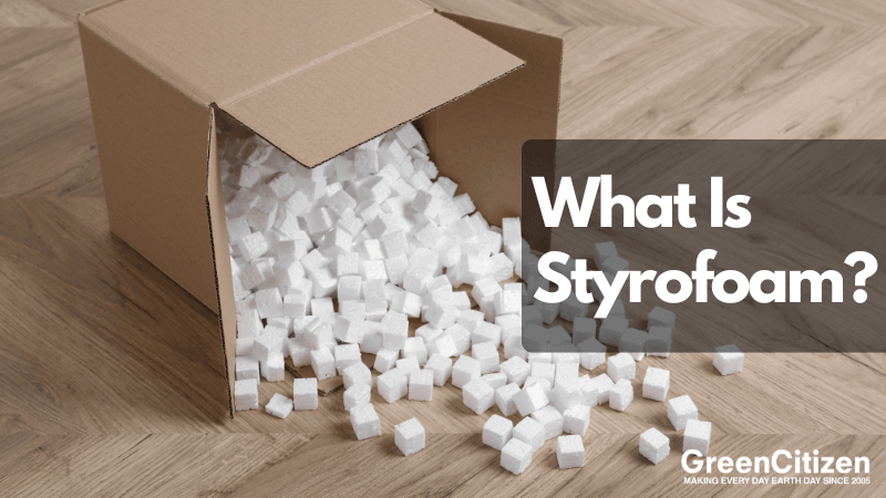 What Is Styrofoam? An In-depth Look - GreenCitizen